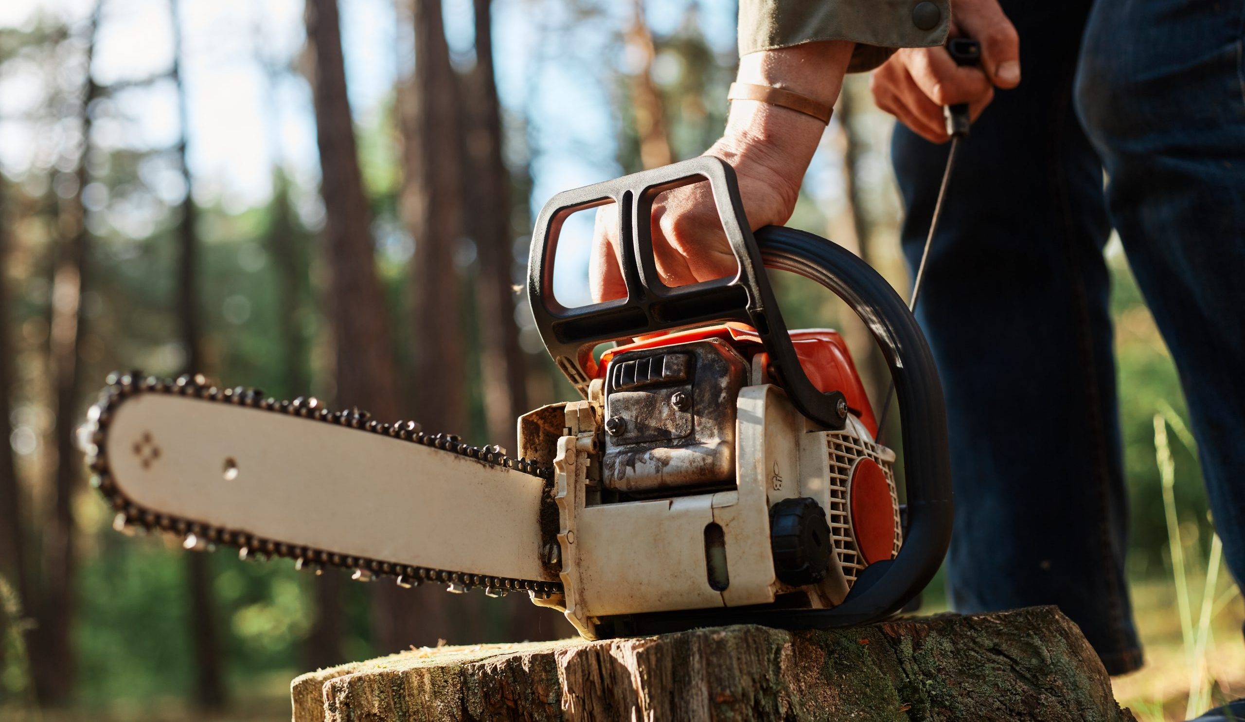 Chainsaws R US – Website